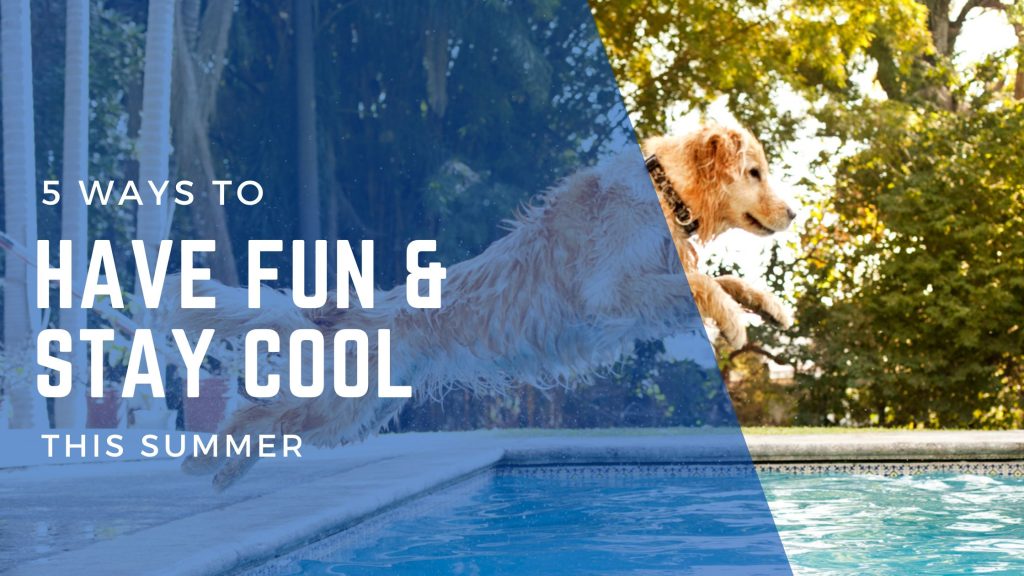 10 Ways to Have Fun and Stay Cool This Summer